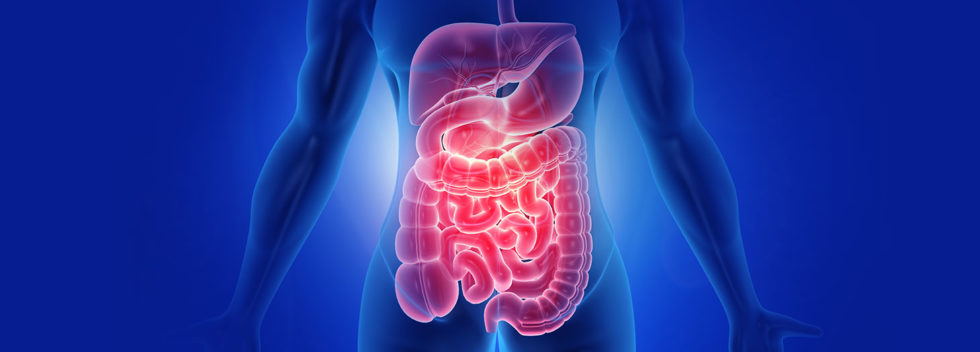 Colon irritabile (Irritable Bowel Syndrome - IBS) - Centro Medico Santa ...